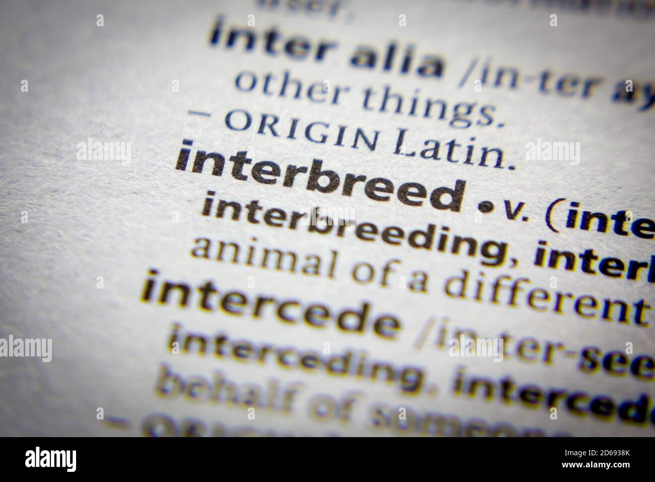 Interbreed hi-res stock photography and images - Alamy