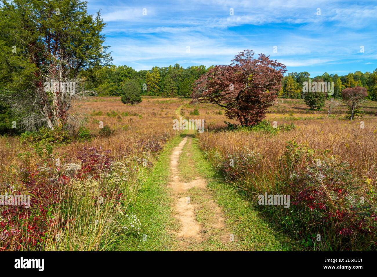 A walking path through the Bloody Angle on the Spotsylvania Battlefield ...