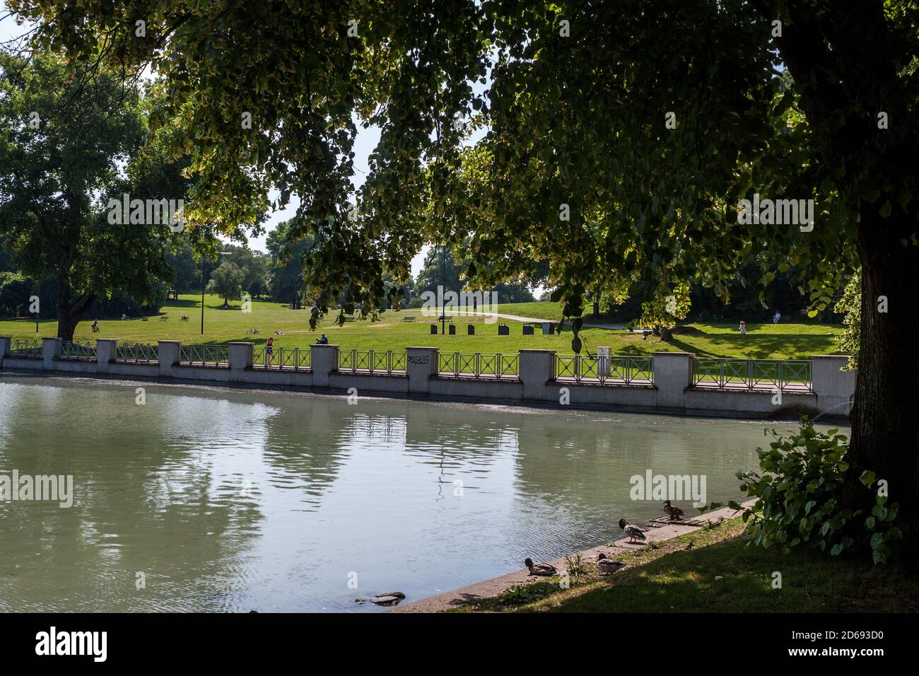 Beautiful park scene in public park with green grass field, green tree ...