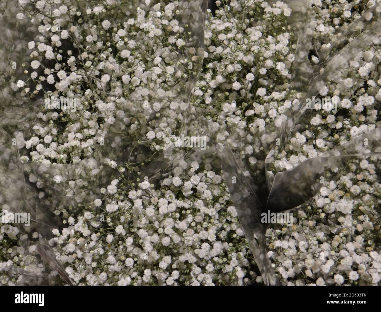 Top view of beautiful and fresh flower bouquets in the flower shop ...