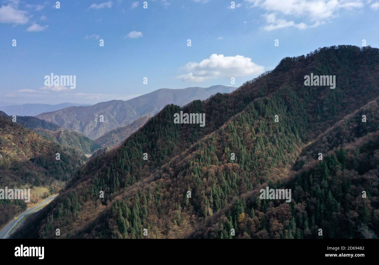 Haidong. 15th Oct, 2020. Aerial photo taken on Oct. 15, 2020 shows the ...