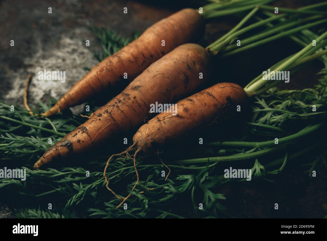 Nice Carrots with haulm on the black rustic background Stock Photo - Alamy