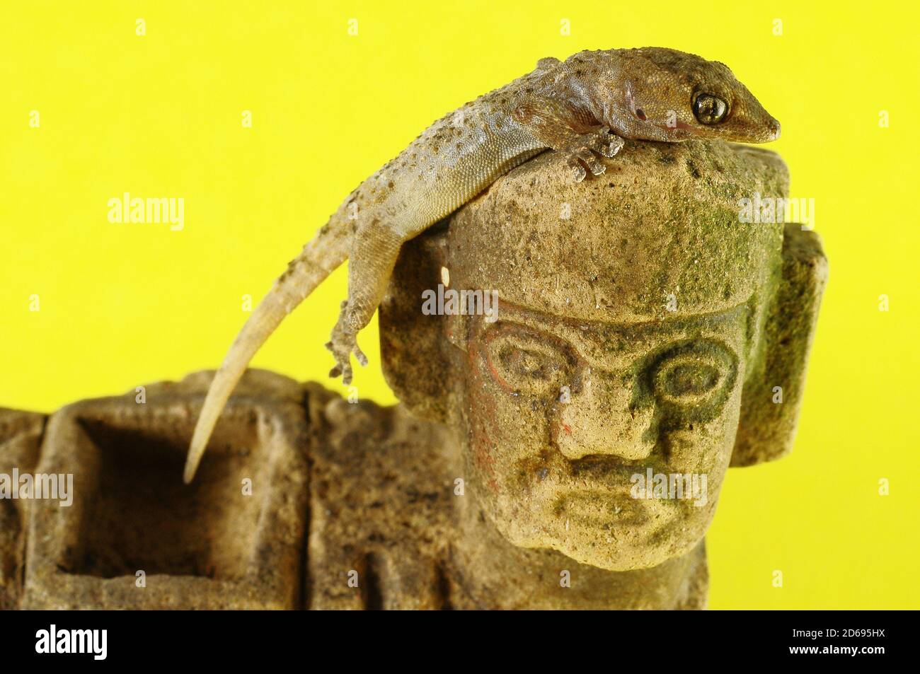 Reptilian statue hi-res stock photography and images - Alamy