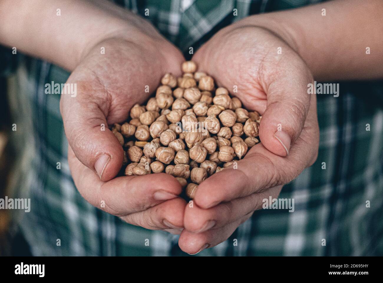 Farmer holding chickpeas hi-res stock photography and images - Alamy