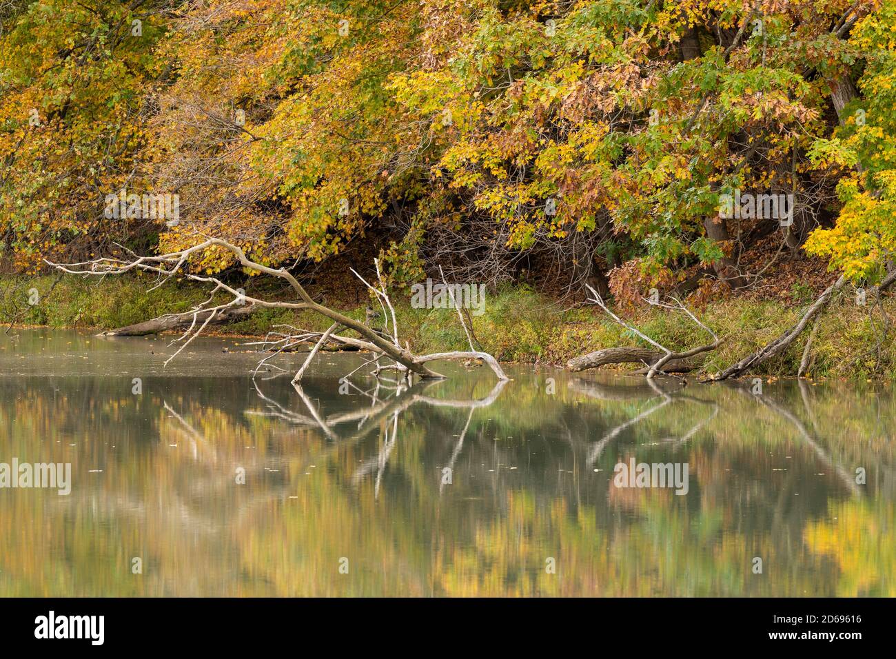 Pickwick lake hi-res stock photography and images - Alamy