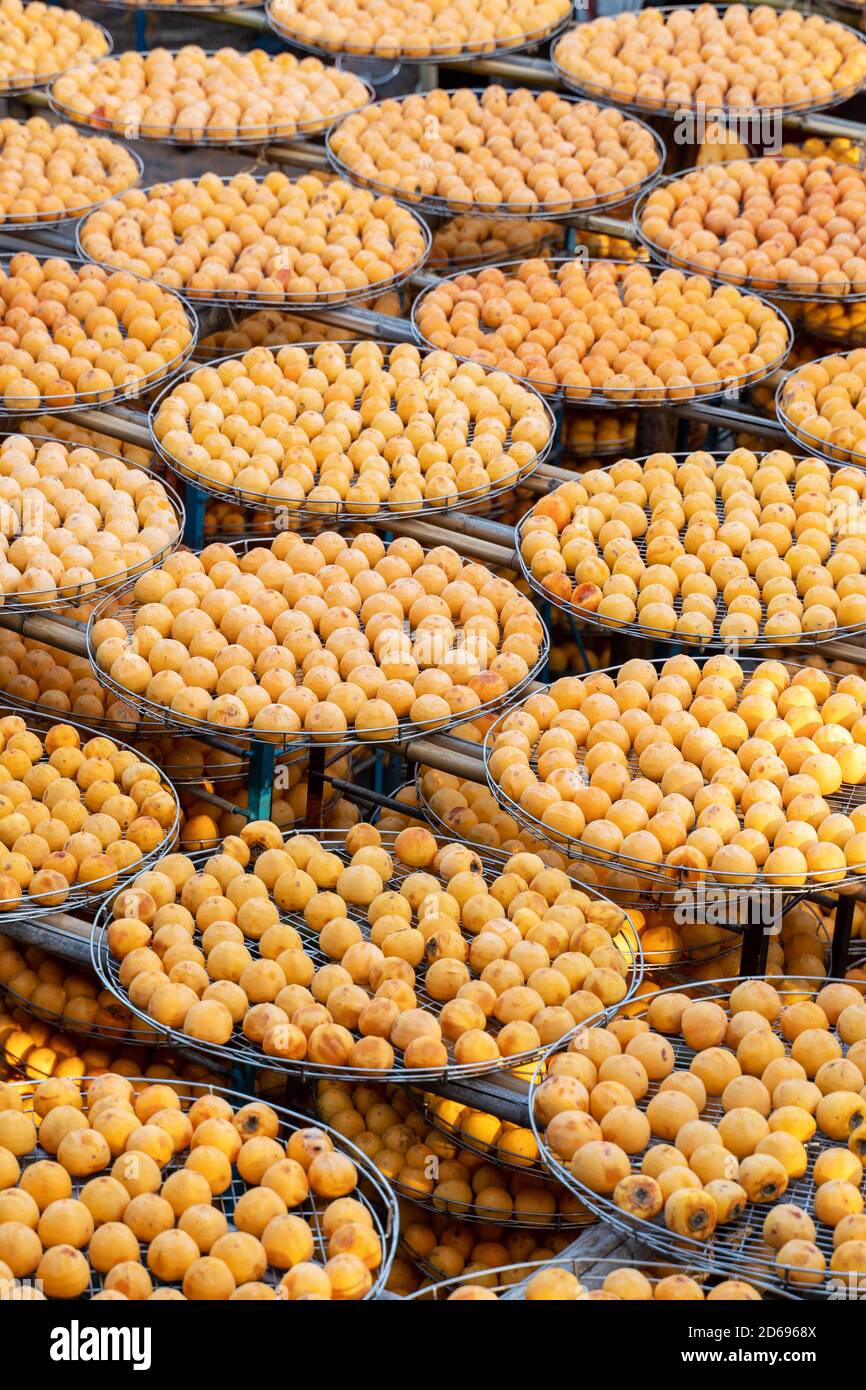 Sun exposuring dried persimmon making hi-res stock photography and ...