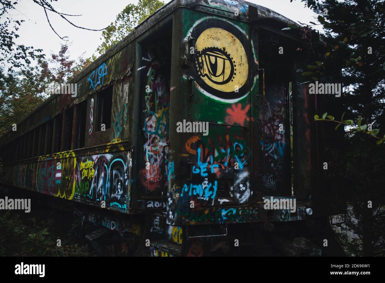 Train in the forest hi-res stock photography and images - Alamy
