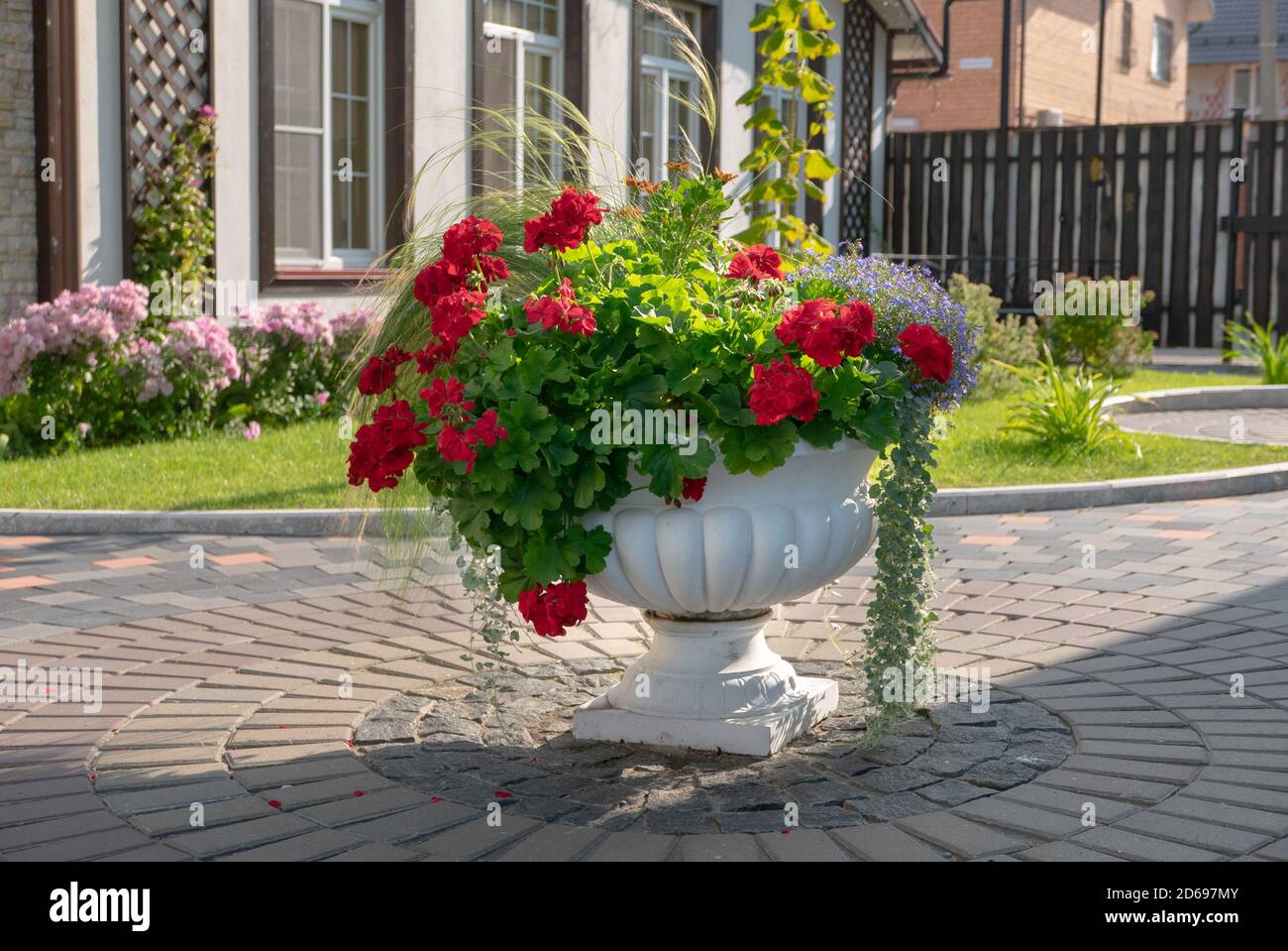 White cachepot in a flower garden with beautiful flowers and decorative ...