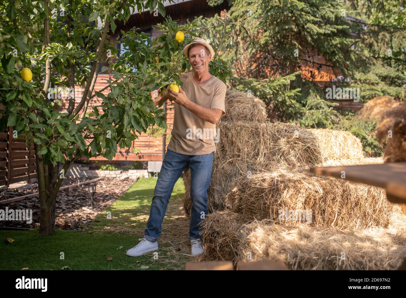 Happy man in straw hat juggling lemons in the garden Stock Photo - Alamy