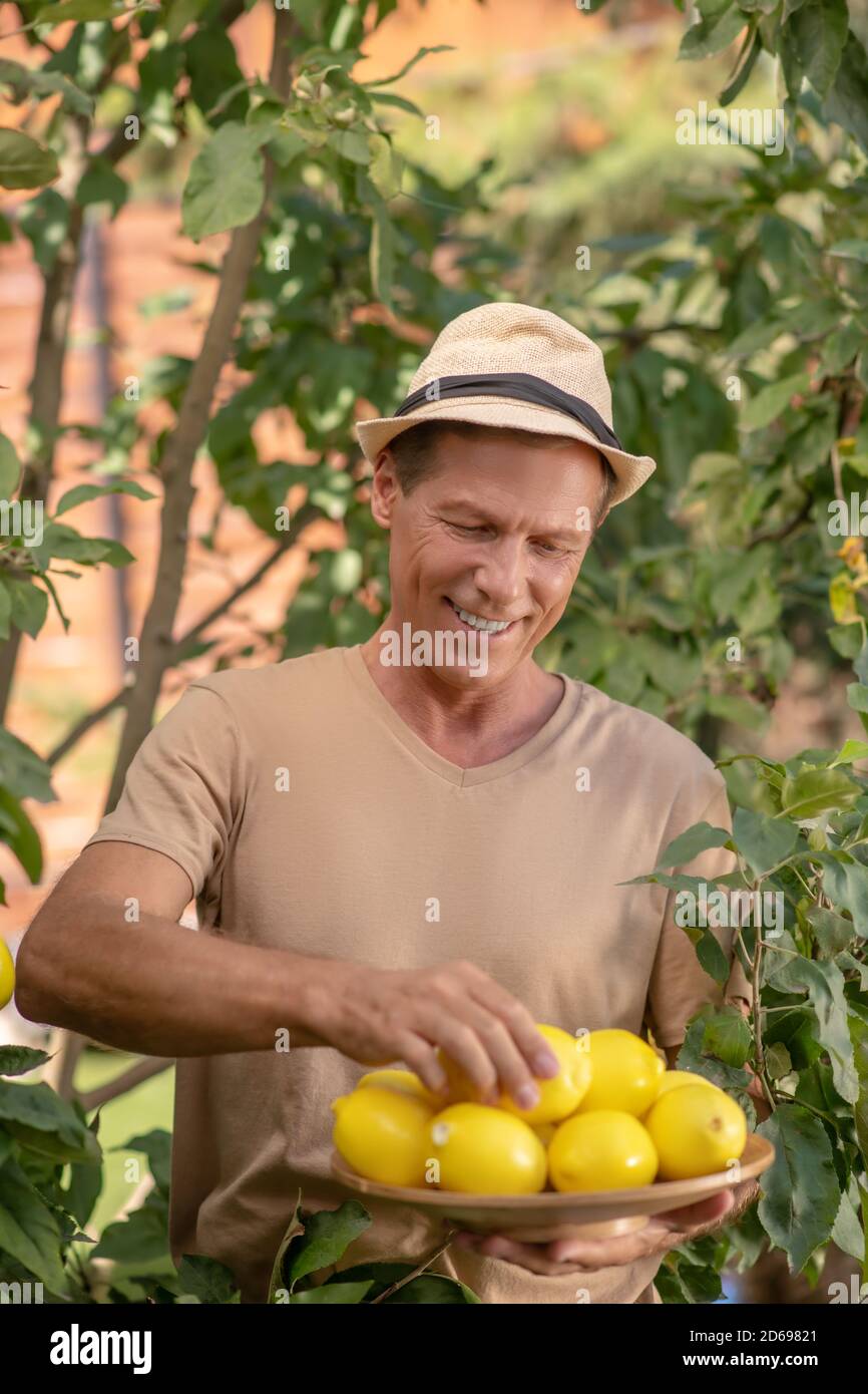 Farmer picking lemons hi-res stock photography and images - Alamy