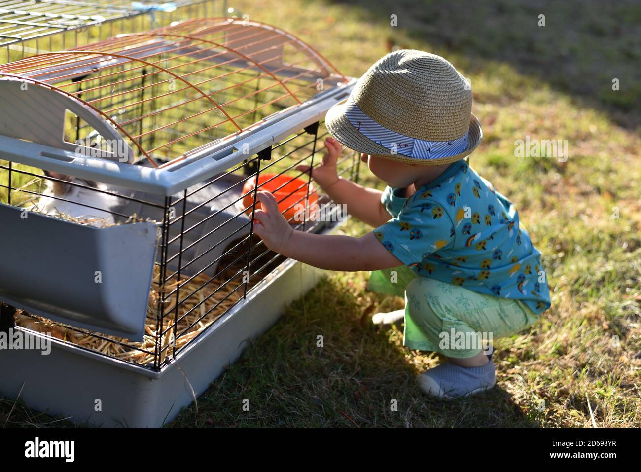 Boy sitting with pet rabbit hi-res stock photography and images - Alamy