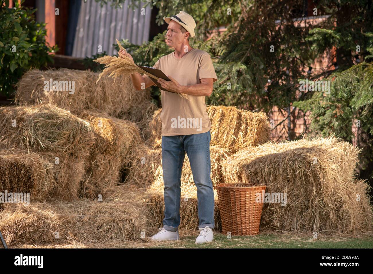 Farmer millet hi-res stock photography and images - Alamy
