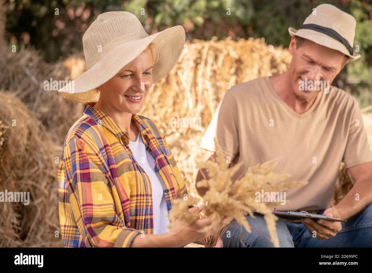 Female farmer checking millet spikelets, male holding clip folder ...
