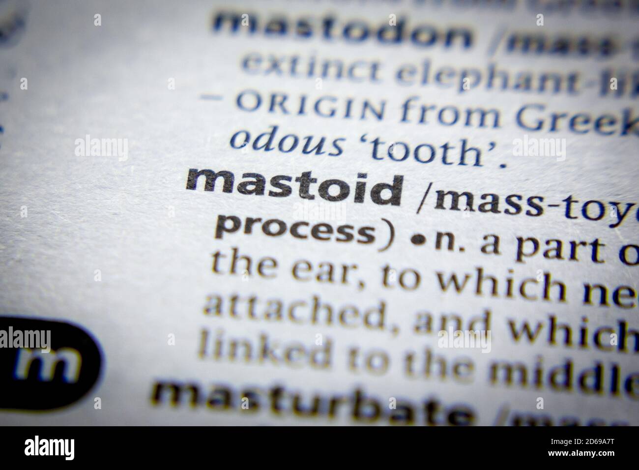 Word or phrase Mastoid in a dictionary Stock Photo - Alamy
