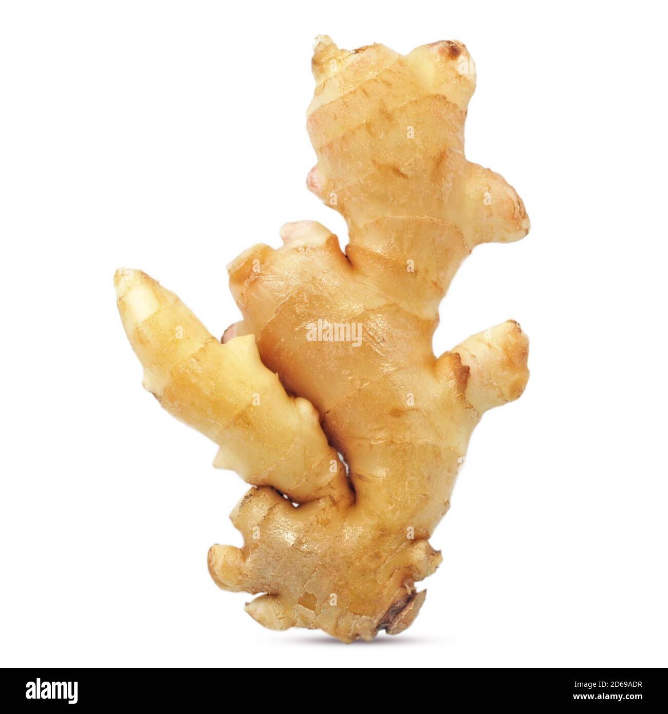 Single Ginger isolated on white background Stock Photo - Alamy