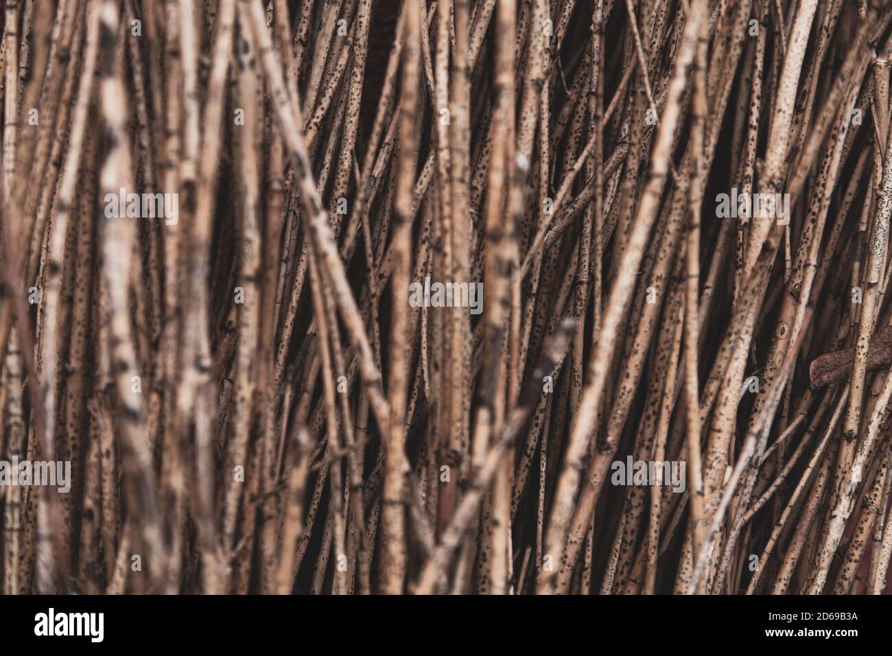 texture background of wood sticks Stock Photo - Alamy