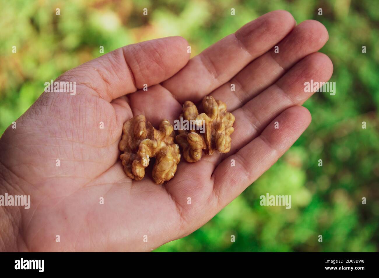 Walnuts food hi-res stock photography and images - Alamy