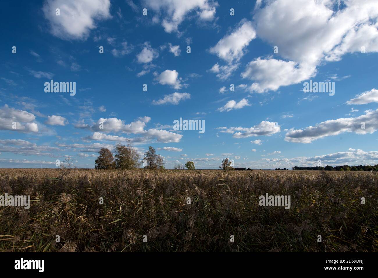 Fischland bodden hi-res stock photography and images - Alamy
