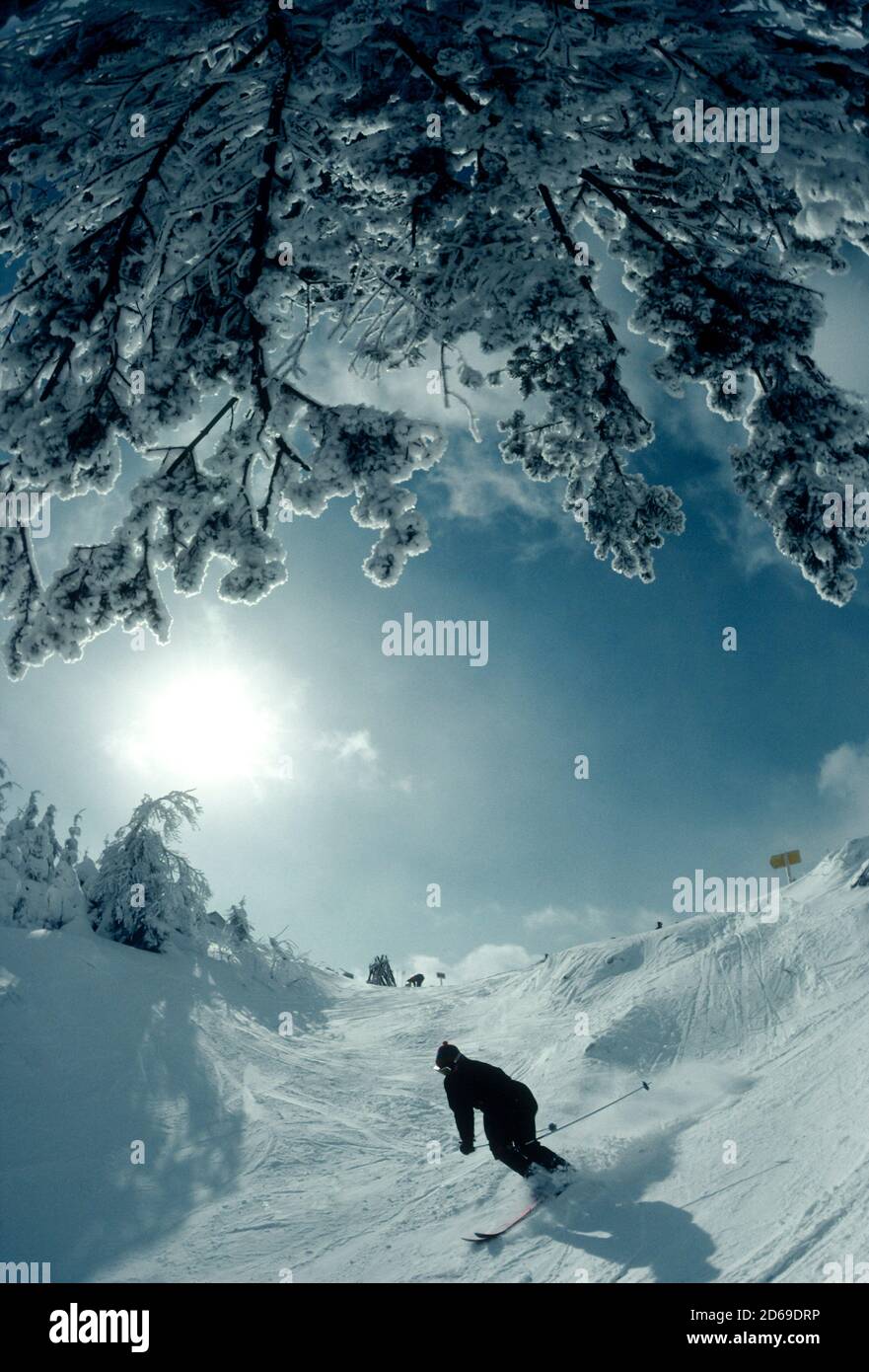 Mont sainte anne hi-res stock photography and images - Alamy