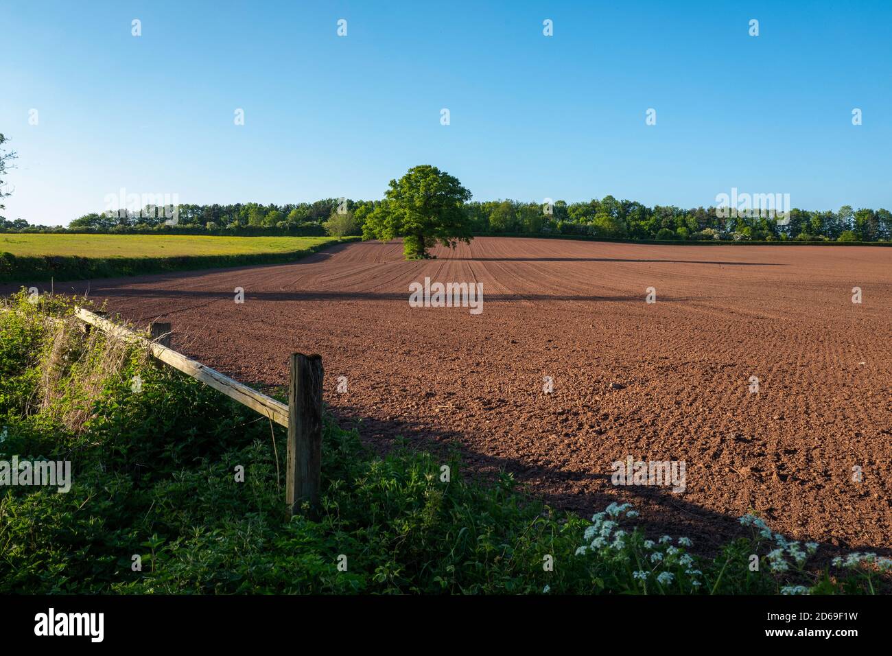 The Tilled Field