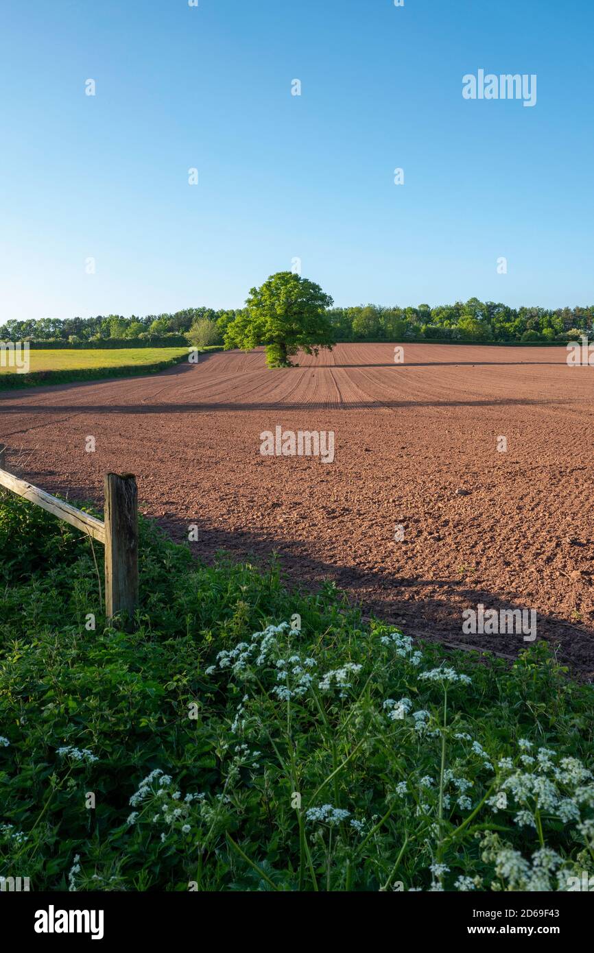 Tilled field hi-res stock photography and images - Alamy