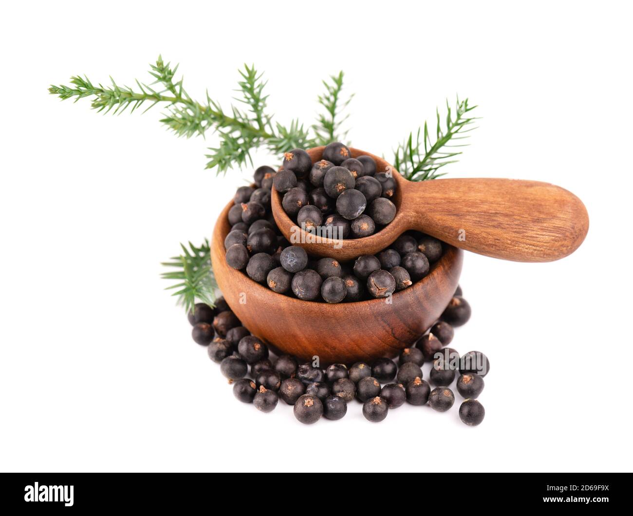 Dry juniper berries with a green branch, isolated on white background ...