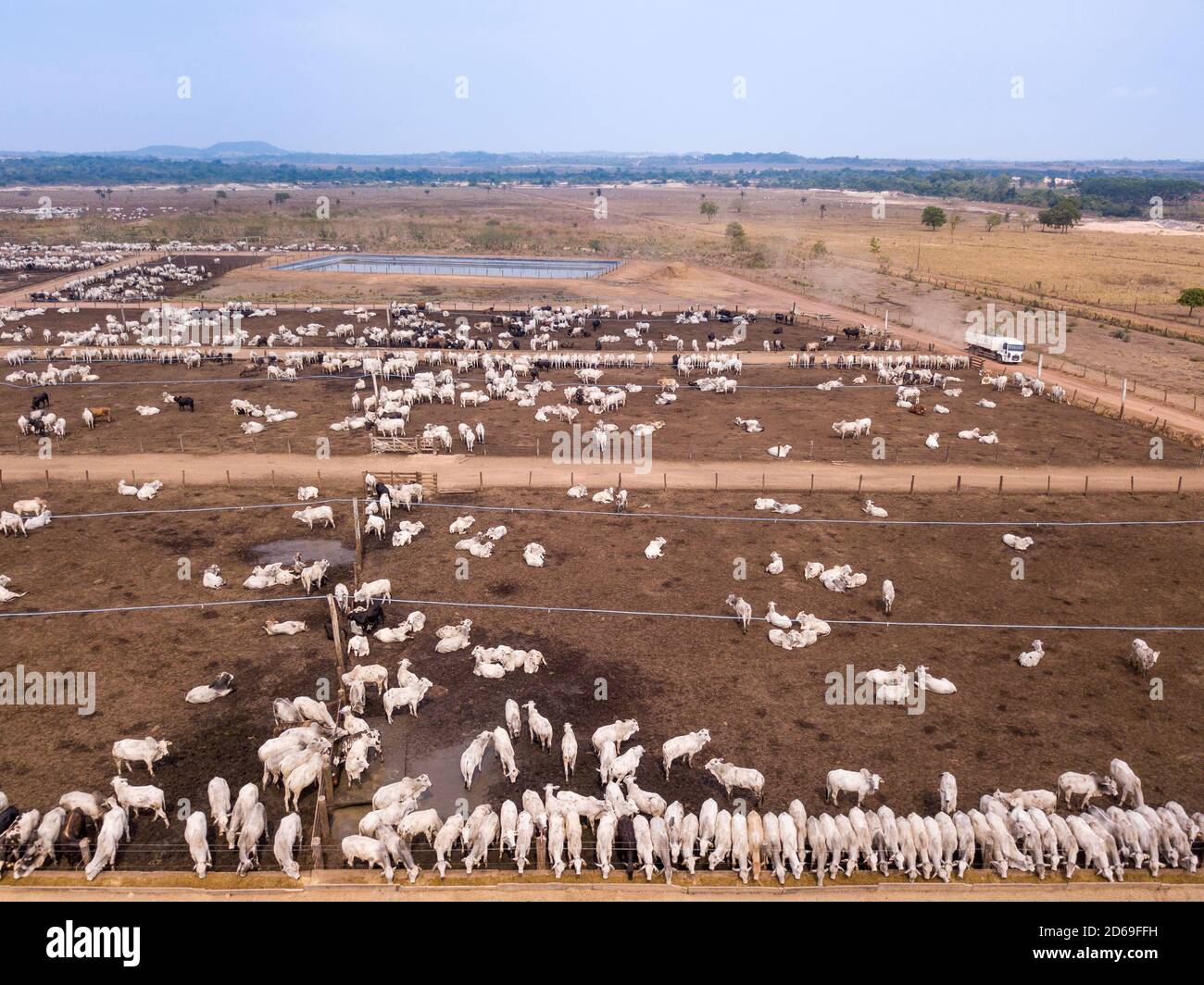 Deforestation aerial view brazil cow hi-res stock photography and ...