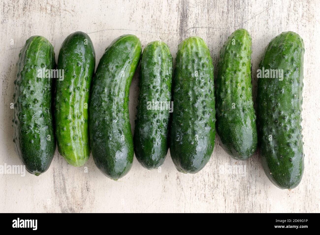 Fresh natural cucumbers from hi-res stock photography and images - Alamy