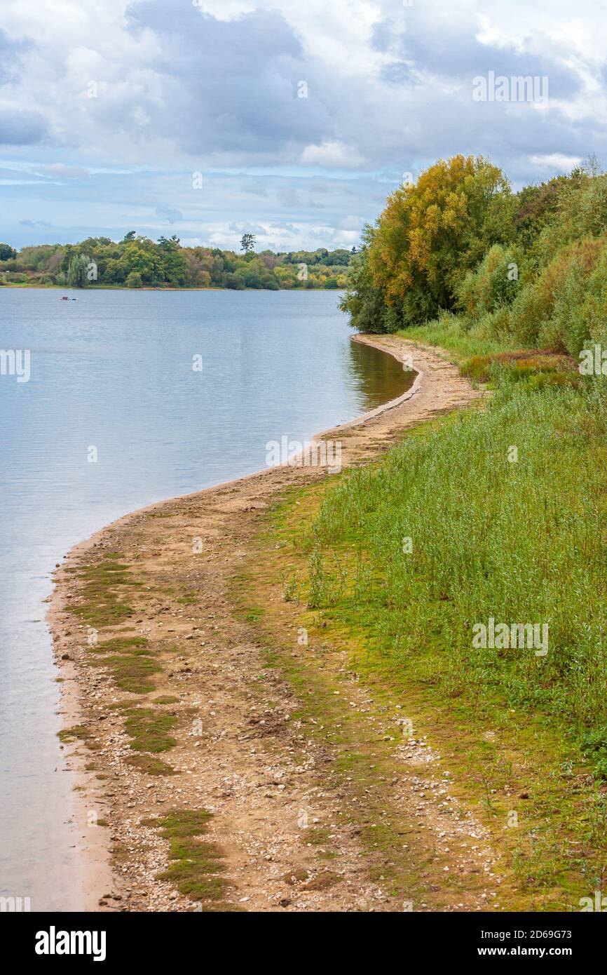 Alton Water is a manmade reservoir. It is the largest in Suffolk Stock ...