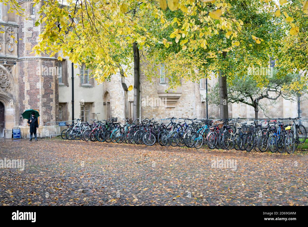 Cambridge autumn colours hi-res stock photography and images - Alamy