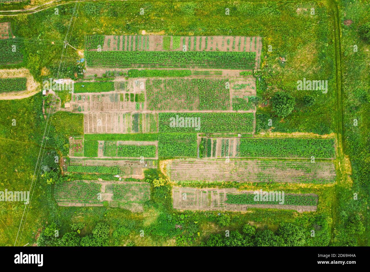 Vegetable plot aerial High Resolution Stock Photography and Images - Alamy