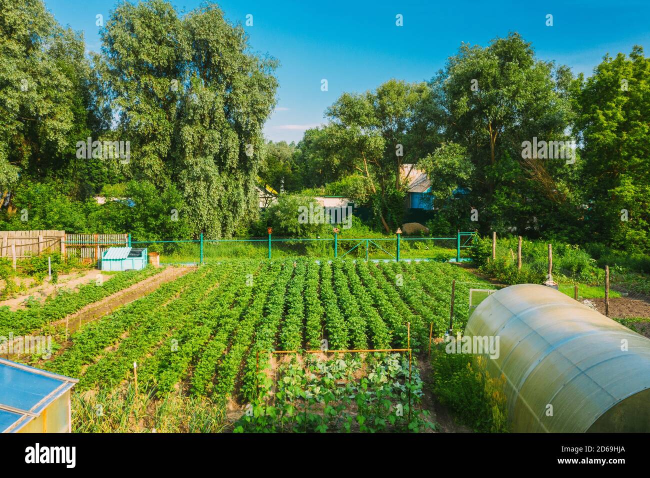 Small vegetable plot with greenhouse hi-res stock photography and ...