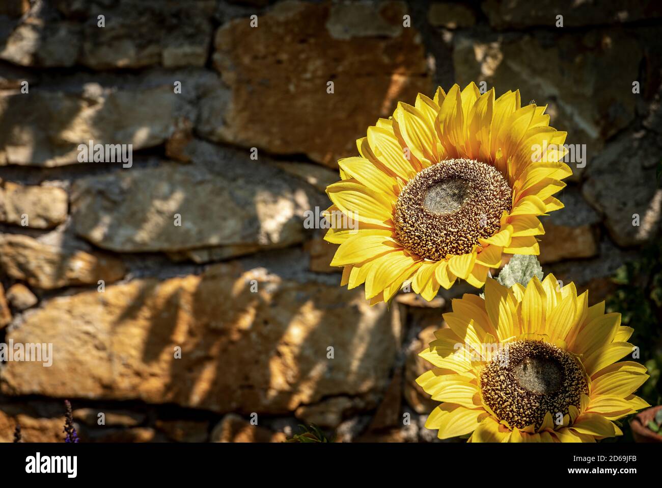 Stone sunflower hi-res stock photography and images - Alamy