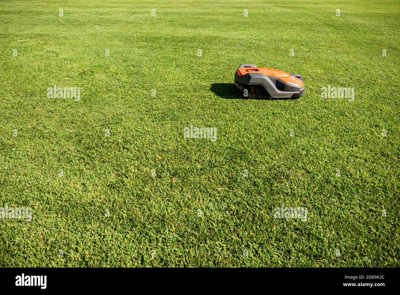 Automatic orange and grey lawn mower robot moves on the green grass ...
