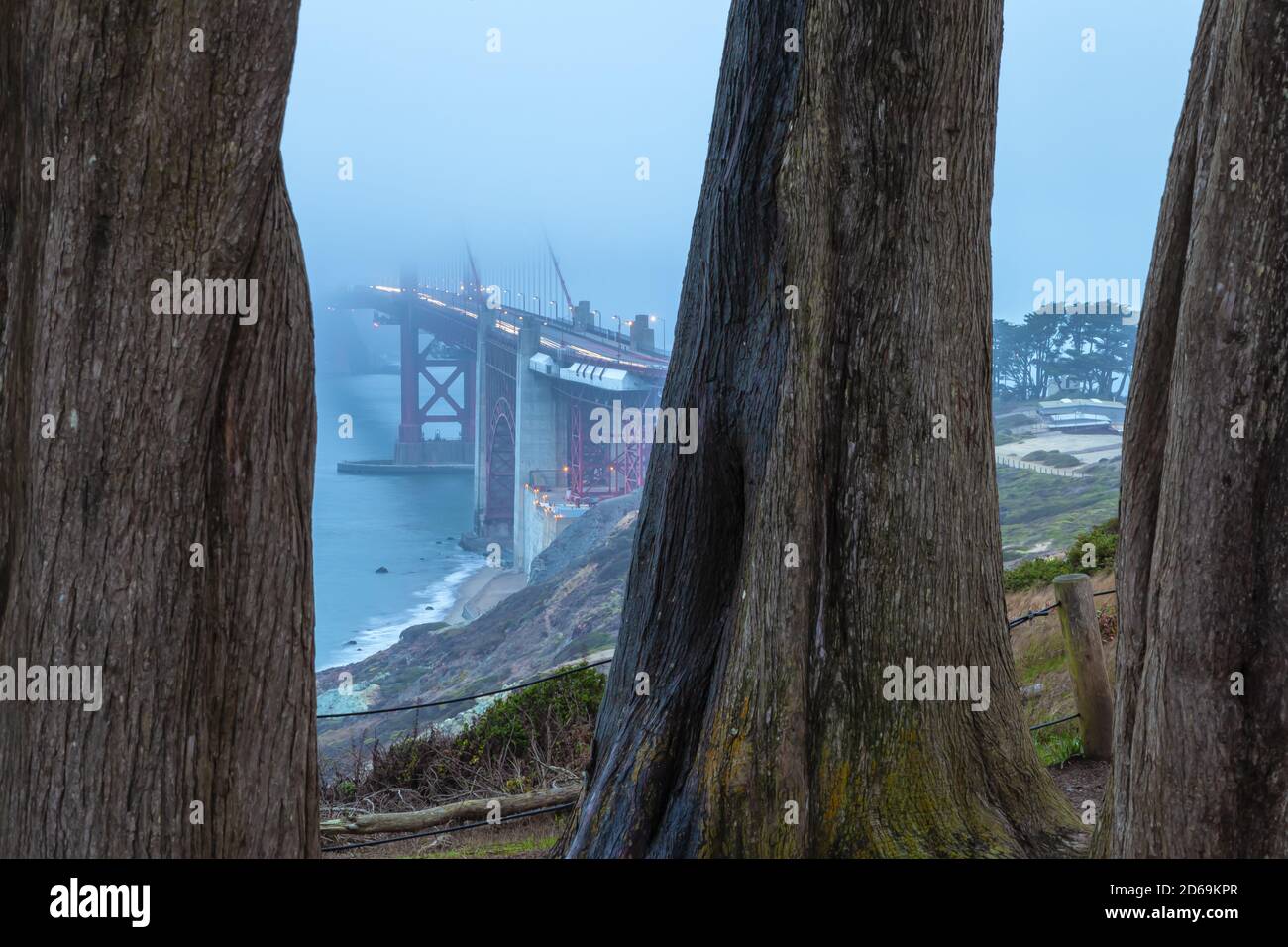The Golden Gate Bridge, seen through the cypress trees, San Francisco ...
