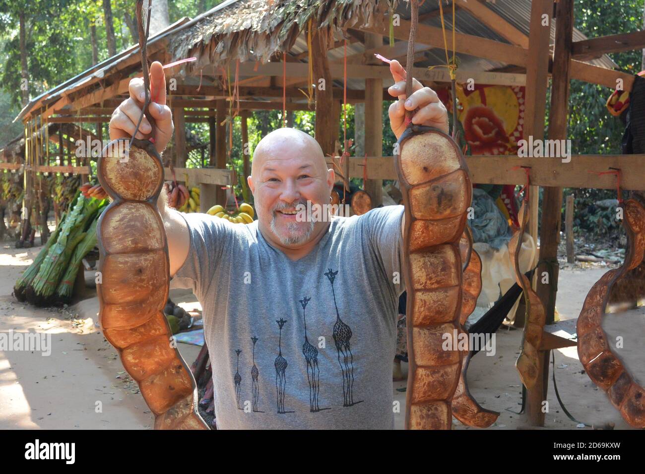 Entada rheedii hi-res stock photography and images - Alamy