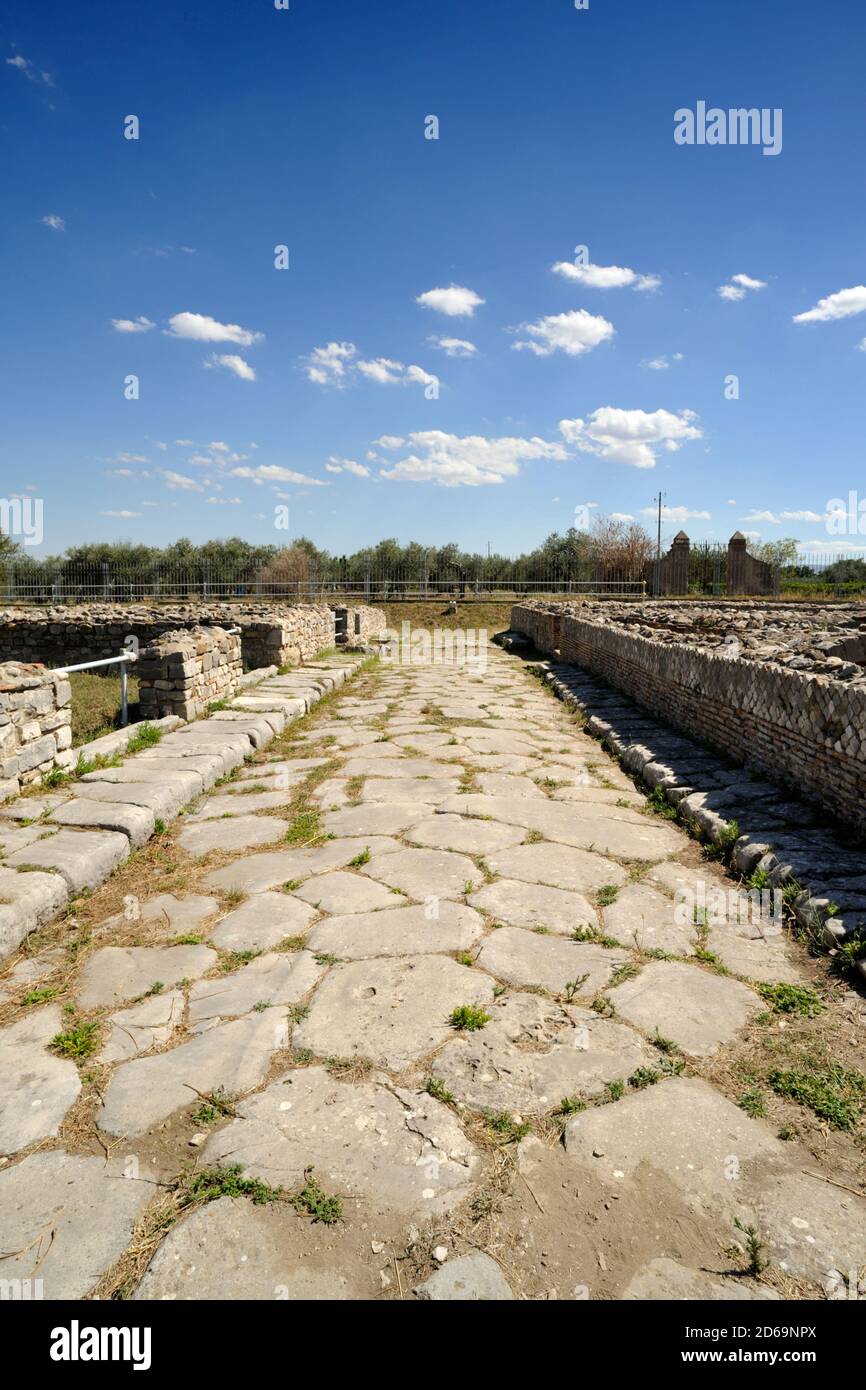 Italy, Basilicata, Venosa, archaeological park, roman road Stock Photo ...