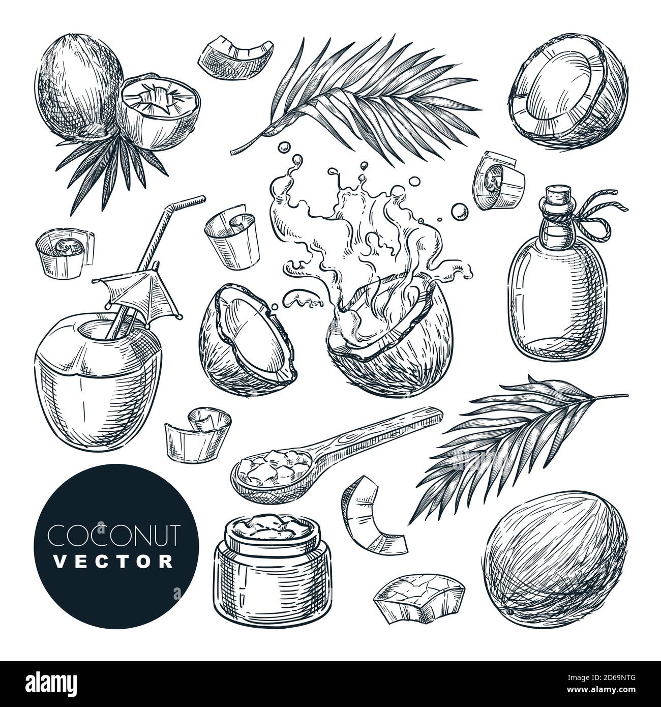 Broken Coconut Drawing