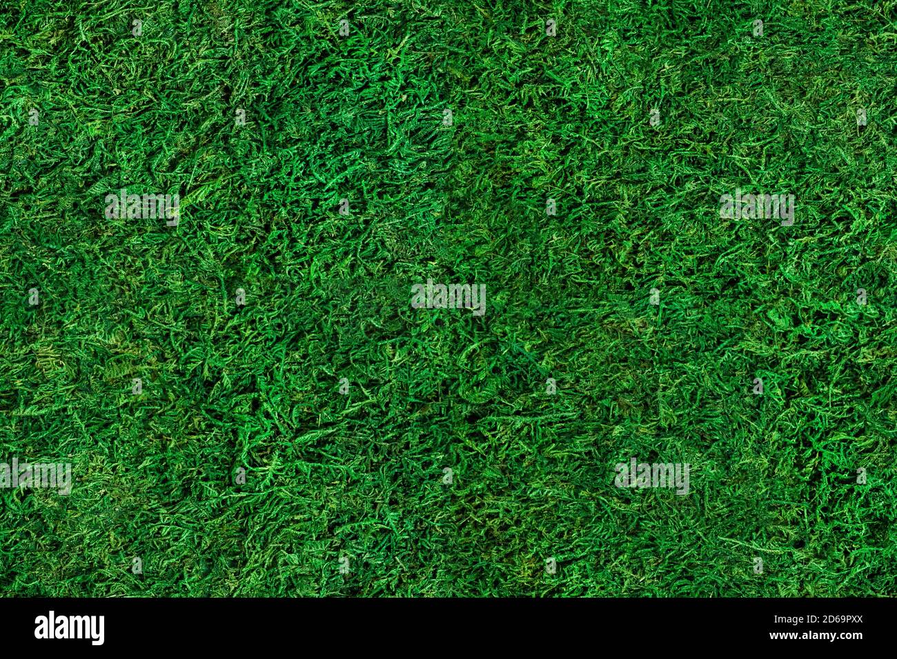 Seamless green texture hi-res stock photography and images - Alamy