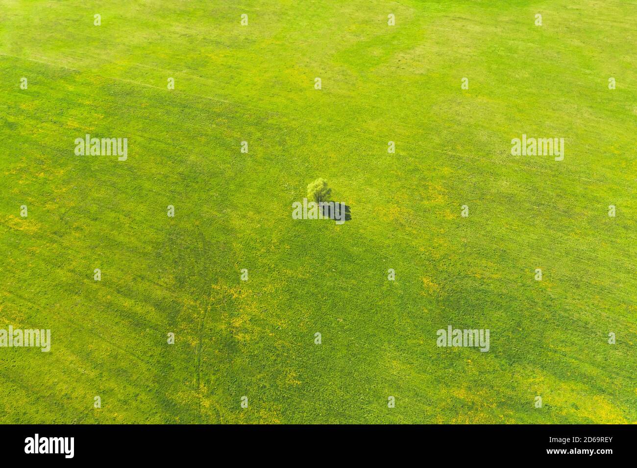 Grass Field Birds Eye View High Resolution Stock Photography and Images ...