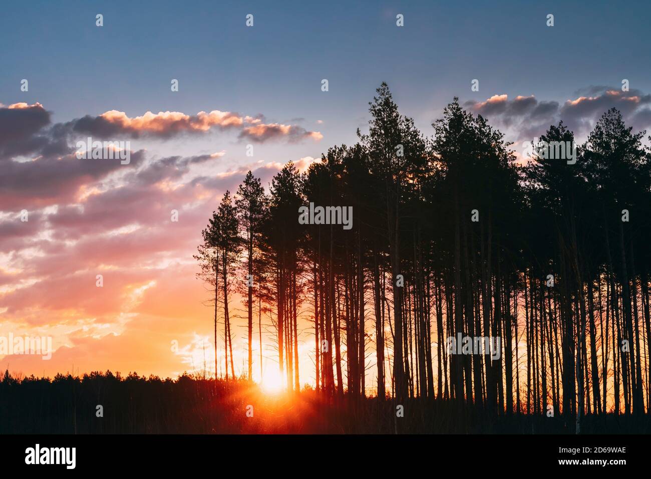 Very bright sunlight sunshine sunny hi-res stock photography and images ...