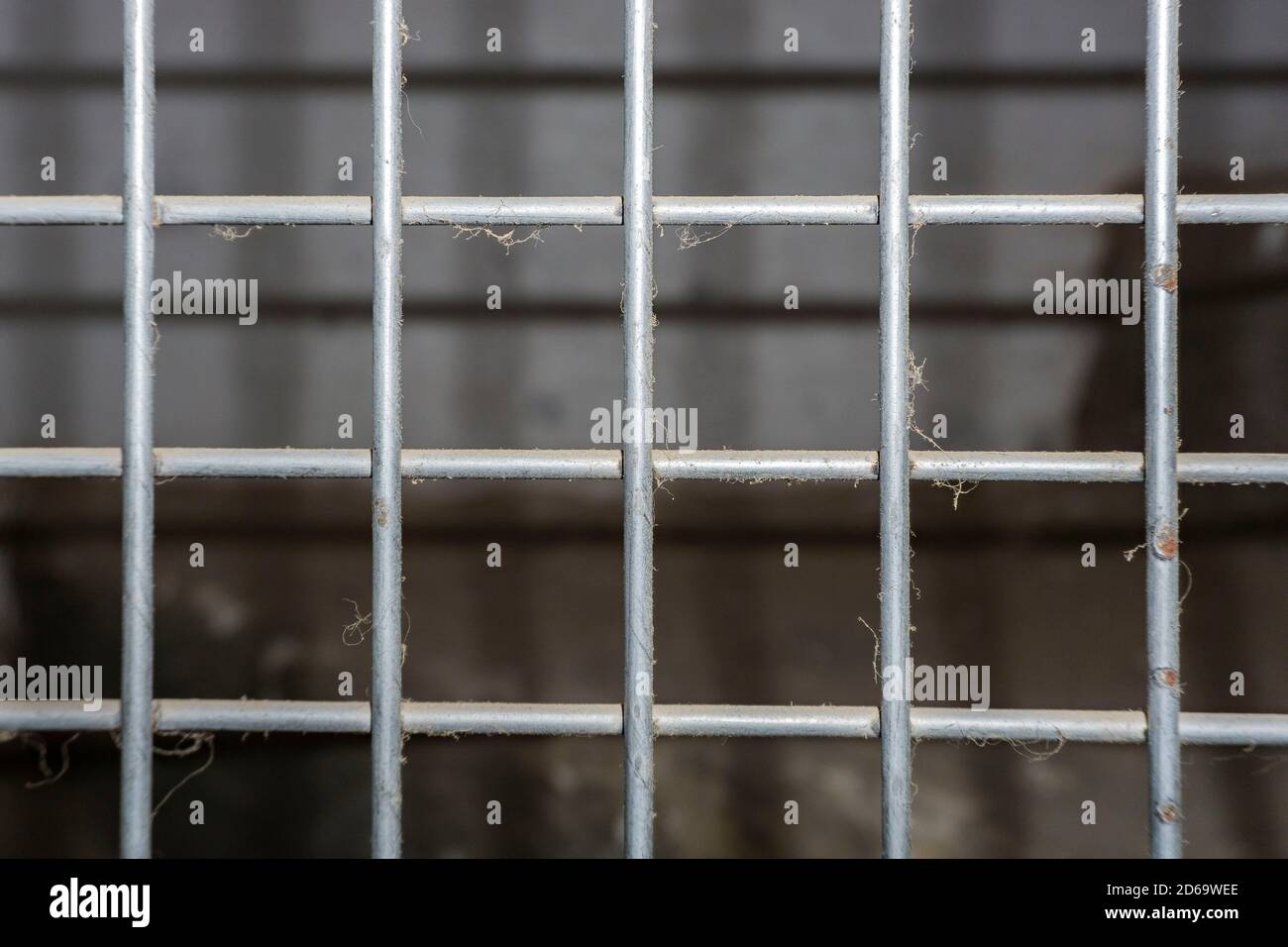 close up iron slit with spider webs Stock Photo - Alamy