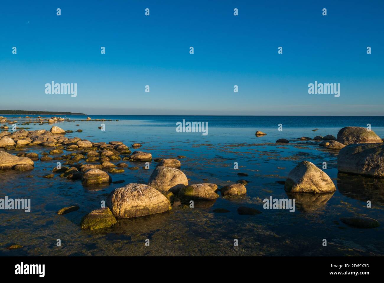 Beautiful ocean coast with myriad stones Stock Photo - Alamy