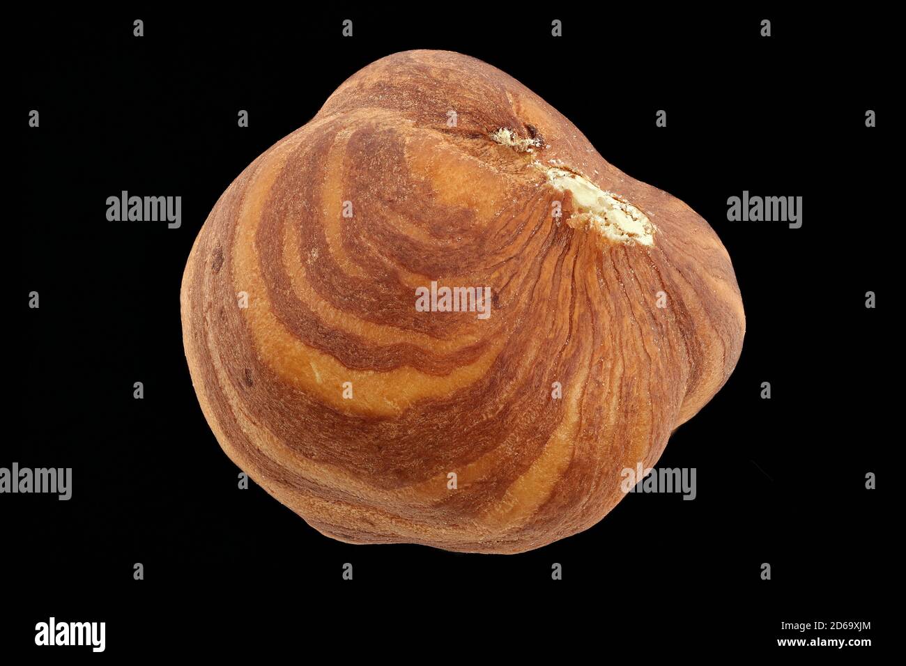 Corylus avellana fruit hi-res stock photography and images - Alamy