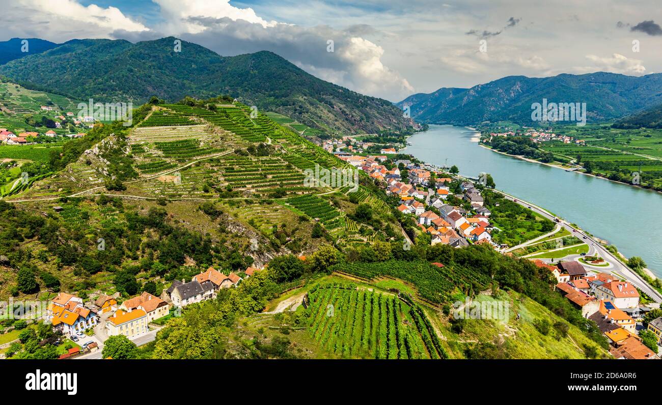 Famous vineyards in Wachau valley, Spitz, Lower Austria Stock Photo - Alamy
