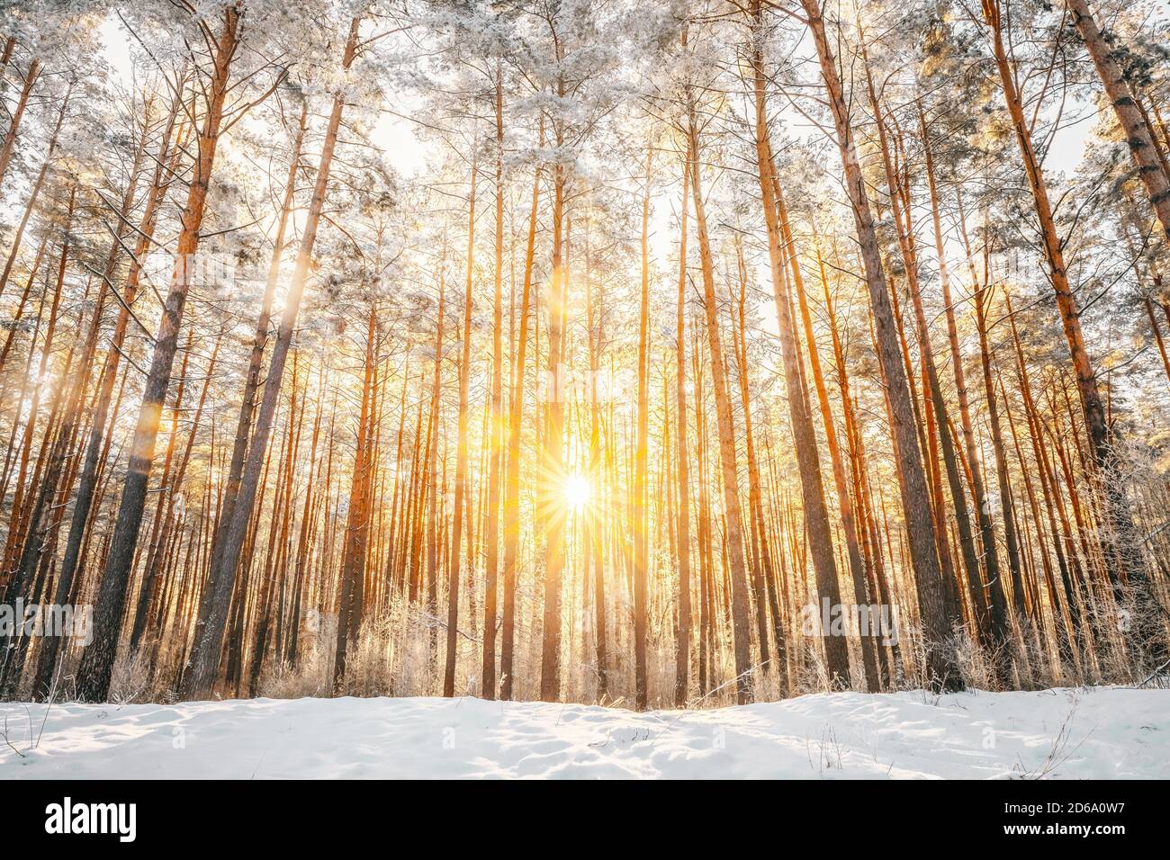 Sunny sun sunshine hi-res stock photography and images - Alamy