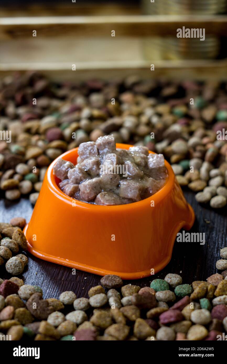 Wet dog food in bowl with dog hi-res stock photography and images - Alamy