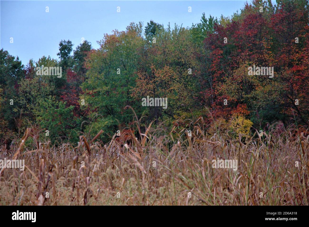 12 October 2020 Stock Photo - Alamy