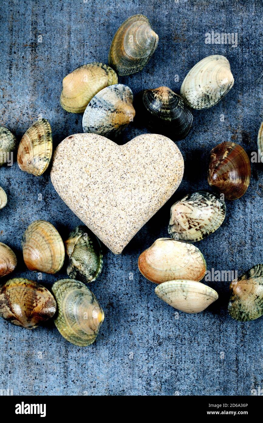 Stone with clam hi-res stock photography and images - Alamy