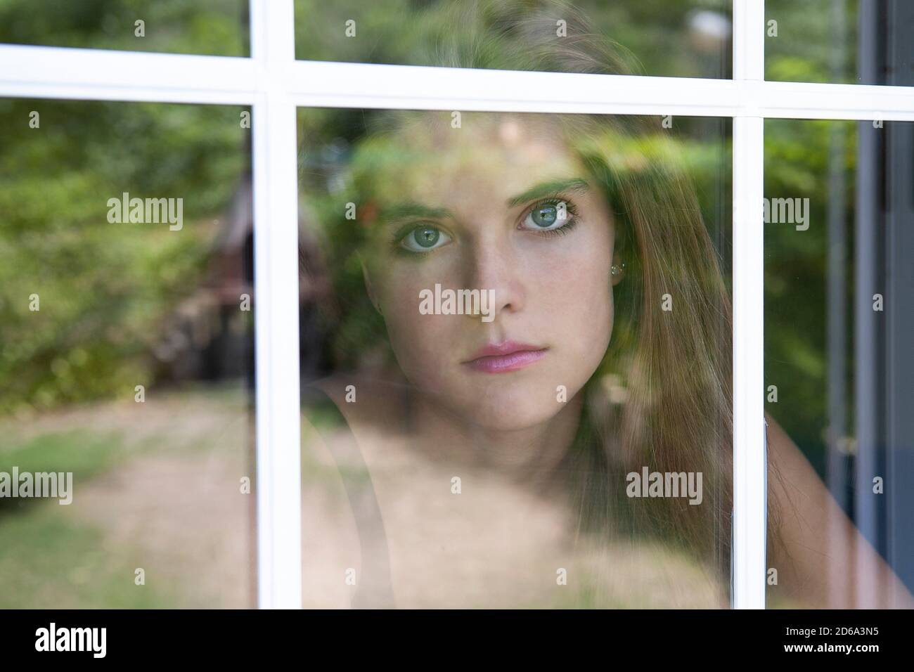 Plant Behind Glass High Resolution Stock Photography and Images - Alamy